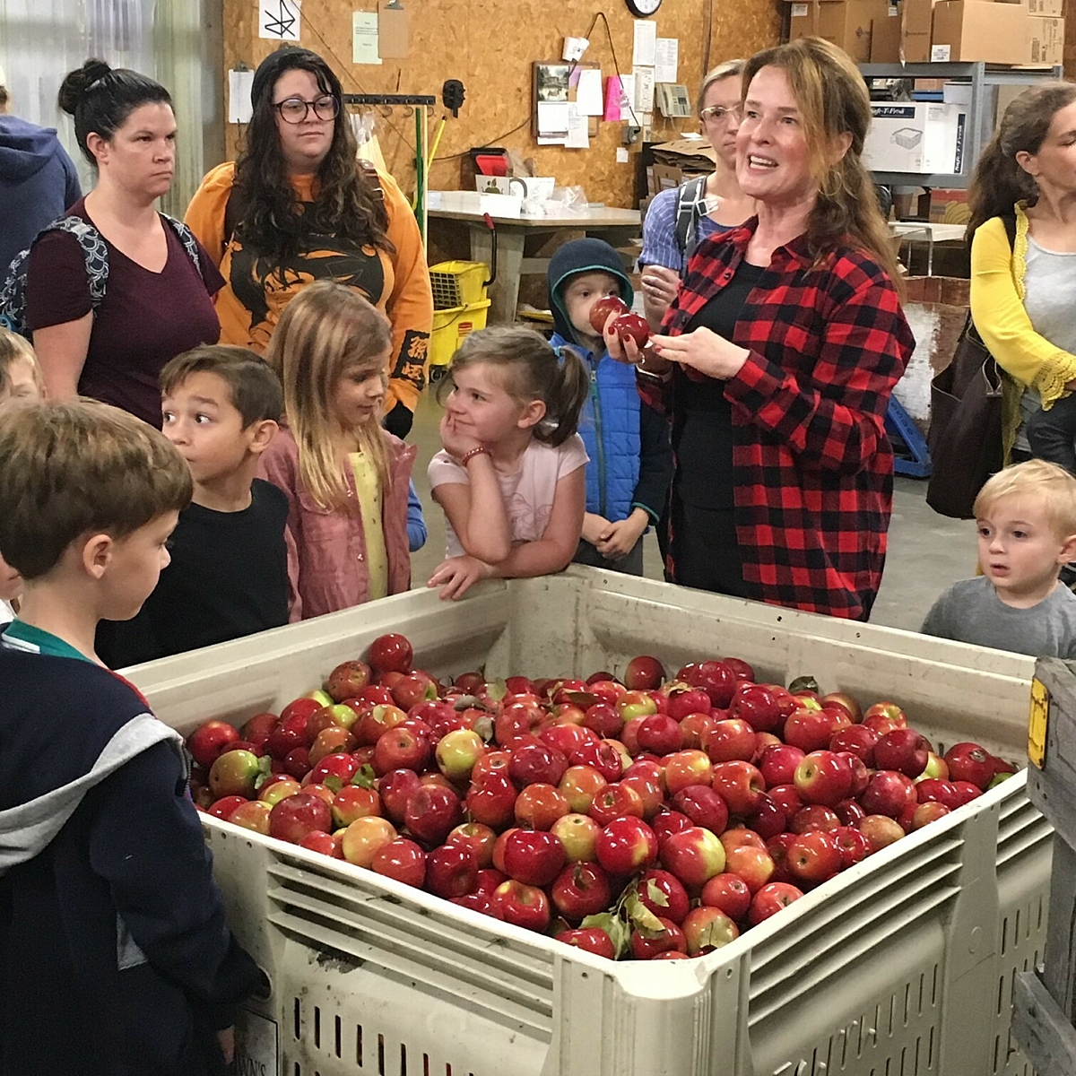 Farm & Fun | Brown's Orchard & Farm Markets