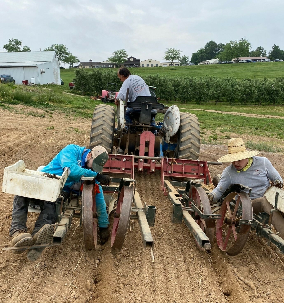 Farm & Fun | Brown's Orchard & Farm Markets