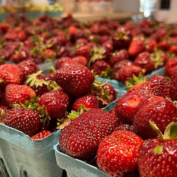 Brown's Orchards & Farm Market York… | Brown's Orchard & Farm Markets